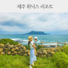 제주 섭지코지 리조트 휘닉스 54평 아기랑 로얄스위트룸 동 선택 팁 네이버 블로그